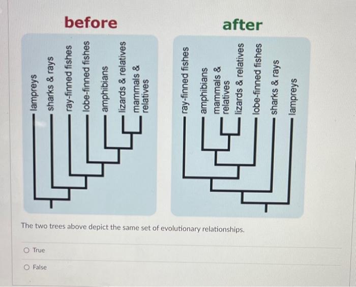 Solved The two trees above depict the same set of | Chegg.com