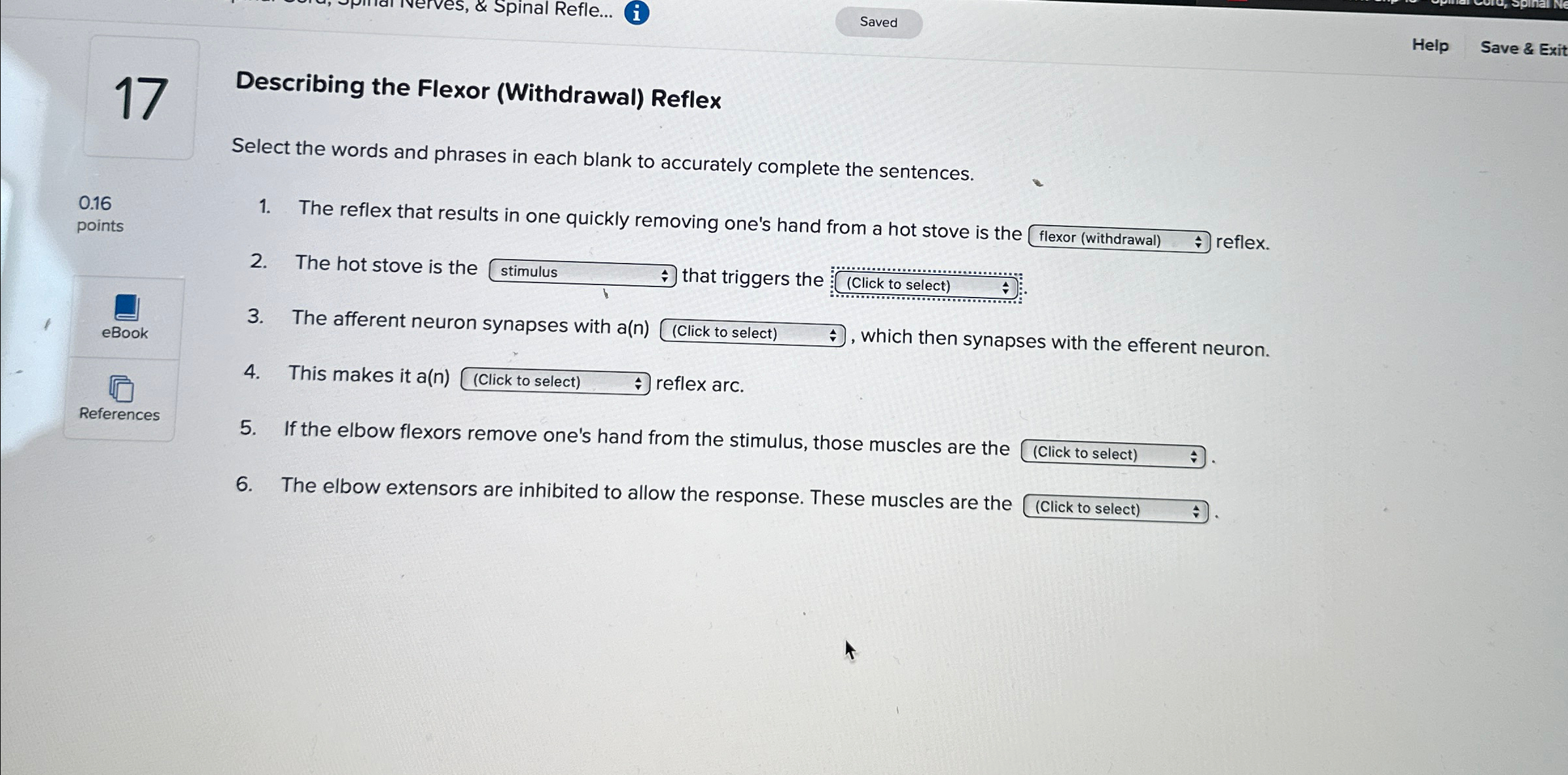 Solved 17Describing the Flexor (Withdrawal) ﻿ReflexSelect | Chegg.com