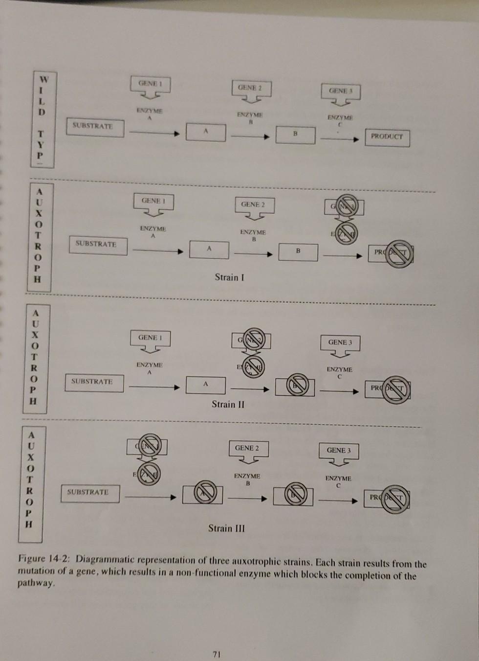 Solved can you please assist with the question beginning | Chegg.com