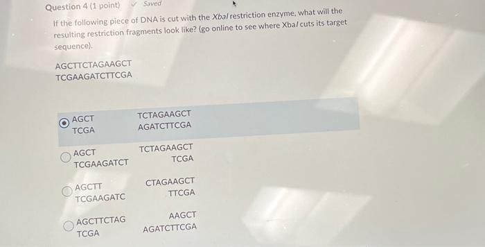 Solved If the following piece of DNA is cut with the Xbal | Chegg.com