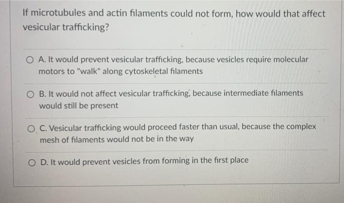 Solved If microtubules and actin filaments could not form, | Chegg.com