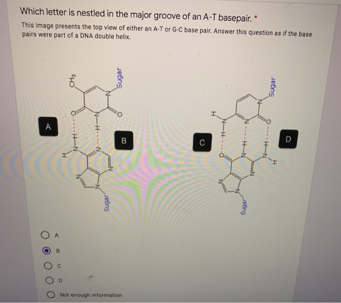 Solved Which letter is nestled in the major groove of an A-T | Chegg.com