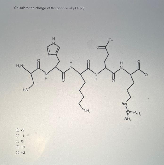 Solved Calculate the charge of the peptide at pH:5.0 | Chegg.com