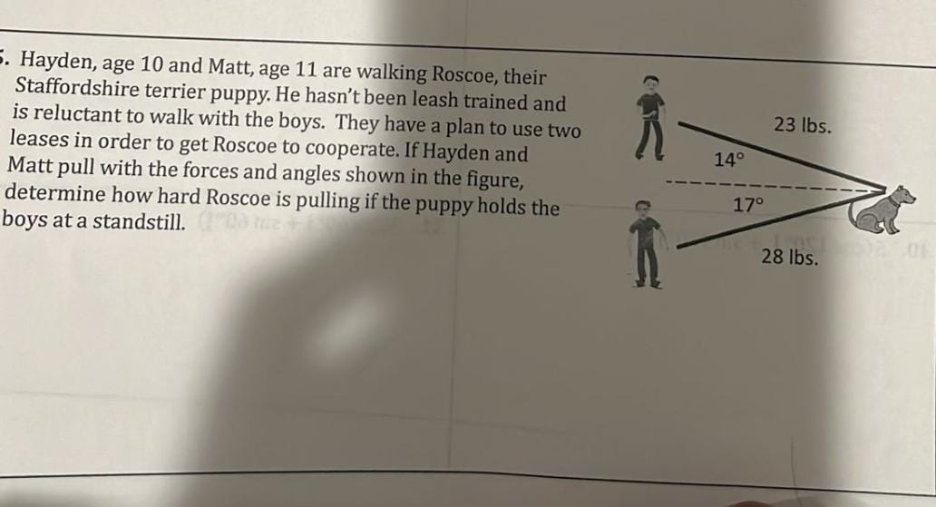 Solved Hayden, age 10 ﻿and Matt, age 11 ﻿are walking Roscoe, | Chegg.com