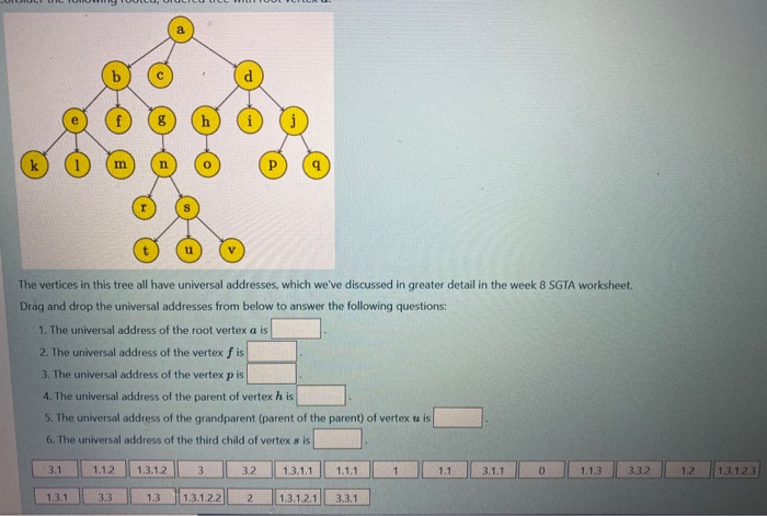 Solved h m q The vertices in this tree all have universal | Chegg.com