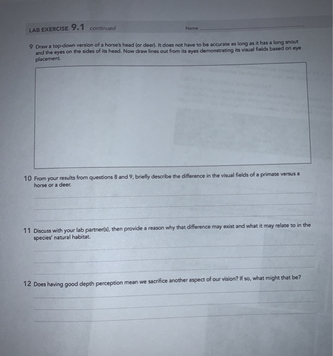 postorbital bar orbits forward-facing no postordital | Chegg.com