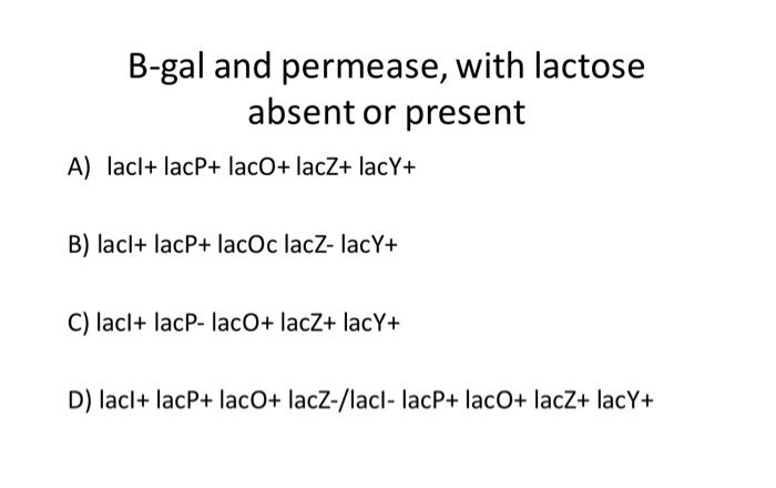 Solved B-gal and permease, with lactose absent or present. | Chegg.com