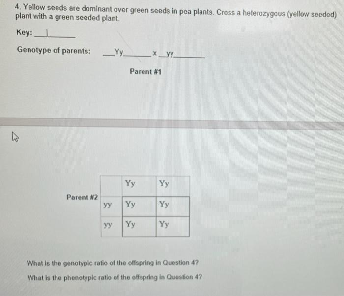 Solved 4. Yellow seeds are dominant over green seeds in pea | Chegg.com
