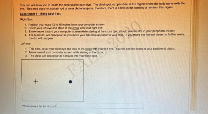 Solved BLIND SPOT TEST Experiment 3 Position your eyes 12 to | Chegg.com