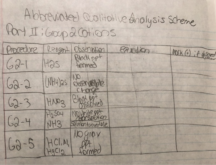 Abbreviated Qualitative Analysis Scheme Port II: | Chegg.com