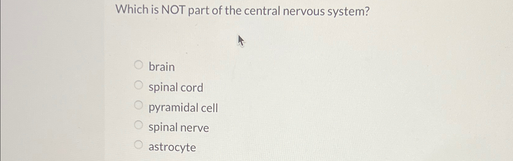 Solved Which is NOT part of the central nervous | Chegg.com