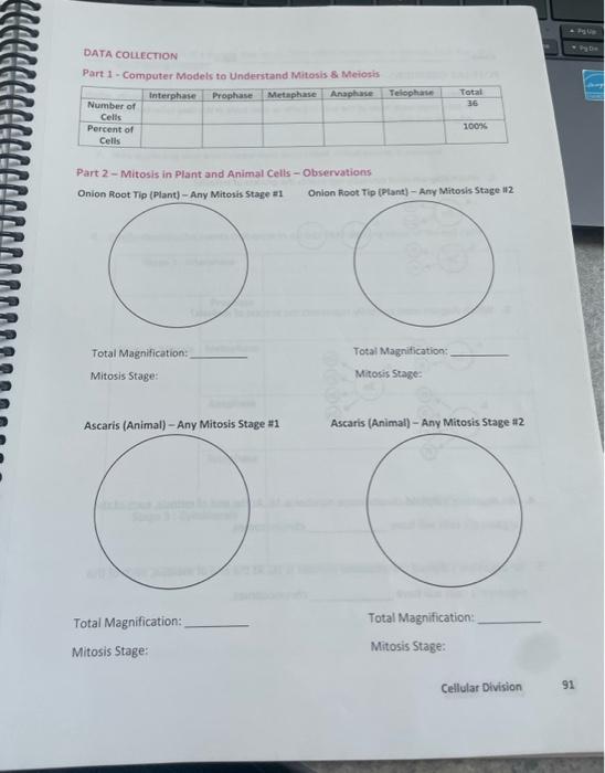Solved DATA COLLECTION Part 1 - Computer Models to | Chegg.com