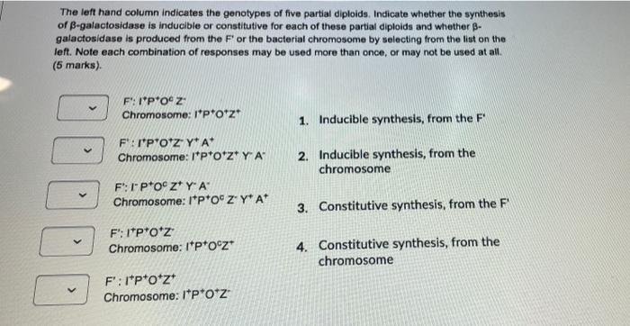 Solved The left hand column indicates the genotypes of five | Chegg.com
