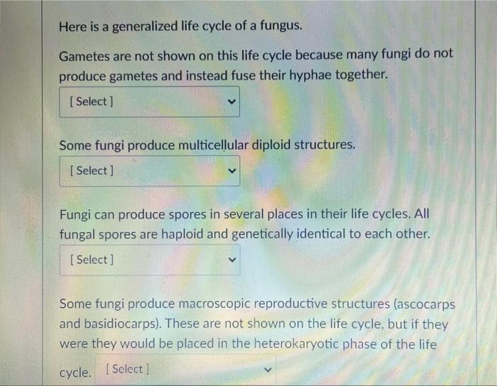 Solved Here is a generalized life cycle of a fungus. Gametes | Chegg.com