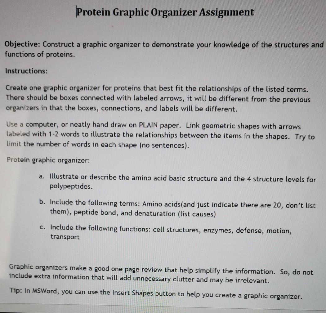 Solved Protein Graphic Organizer Assignment Objective: | Chegg.com