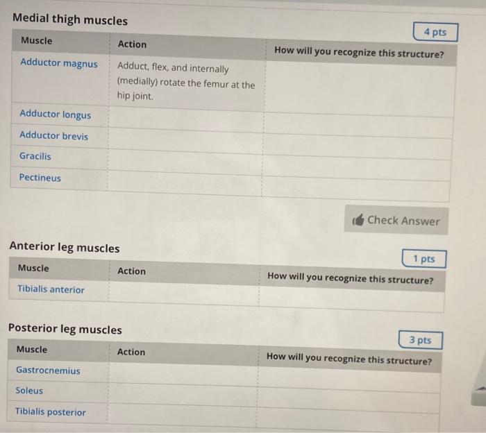 Solved Muscle identification 1. Use the model to identify | Chegg.com