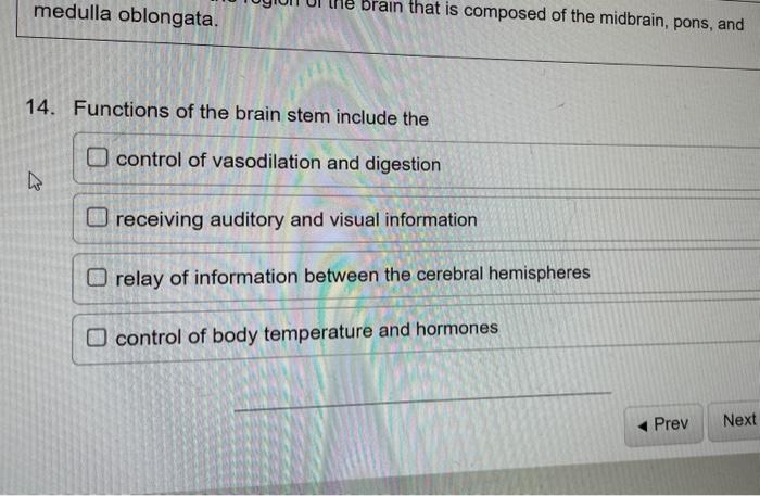 Solved medulla oblongata. 14. Functions of the brain stem | Chegg.com
