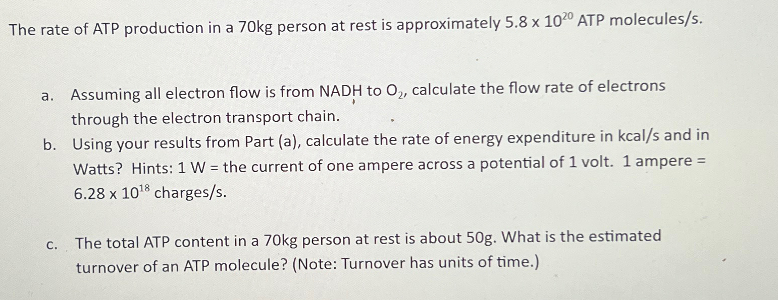 Solved The rate of ATP production in a 70kg ﻿person at rest | Chegg.com