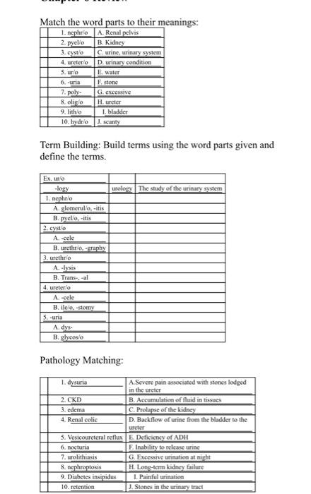 Solved Match the word parts to their meanings: Term | Chegg.com