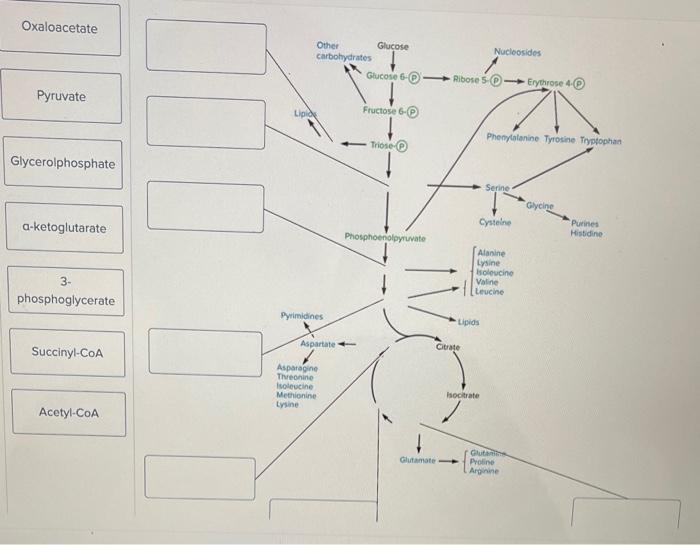 Solved fill out the diagram | Chegg.com
