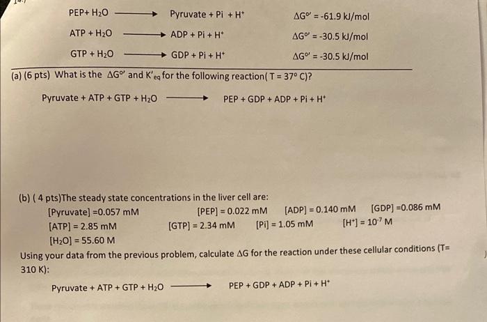 Solved PEP+H2O Pyruvate | Chegg.com