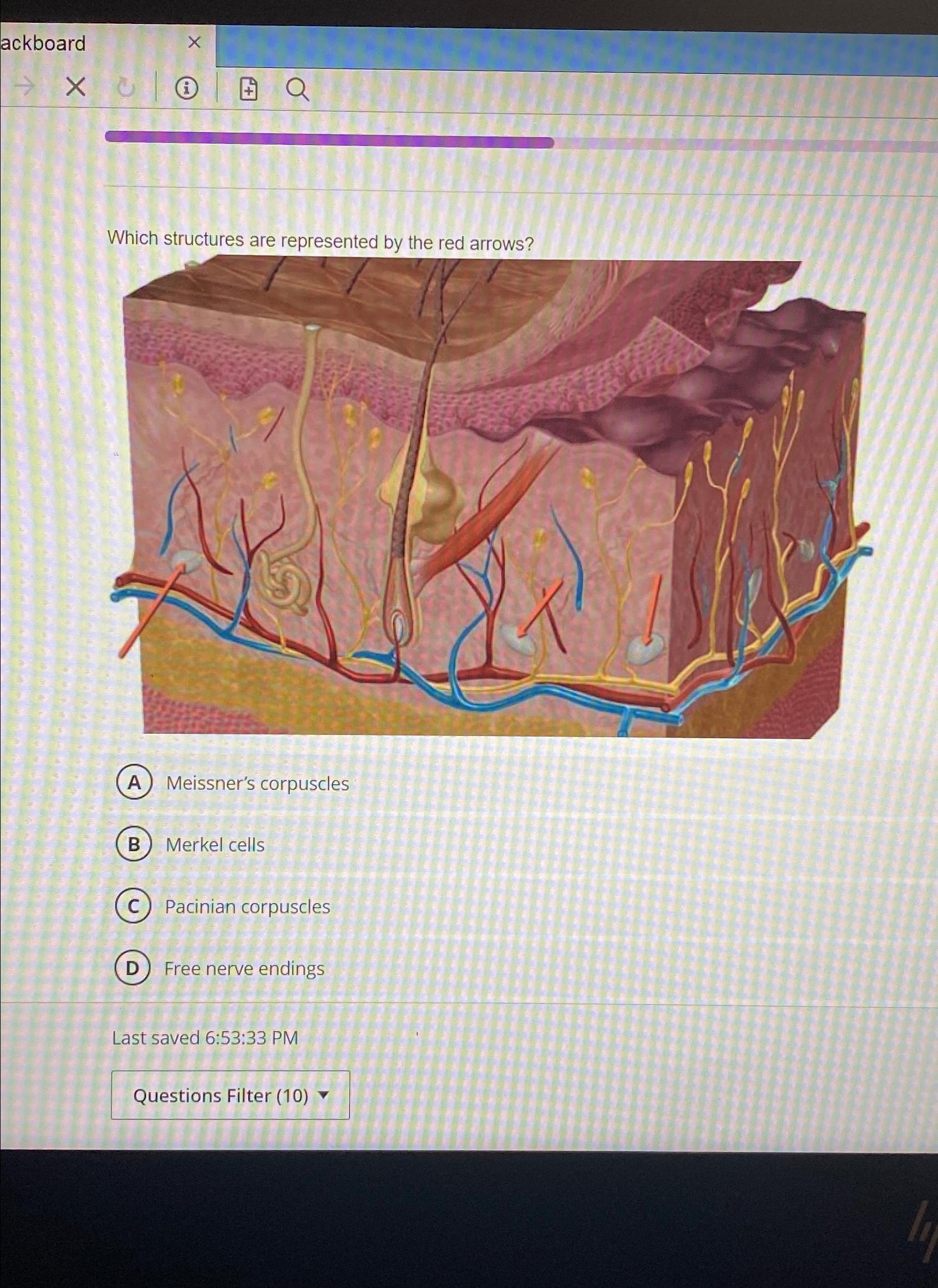 Solved Which structures are renresented hy the red | Chegg.com