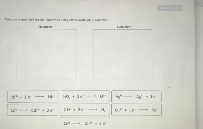 Solved Categorize each half reaction below as being either | Chegg.com