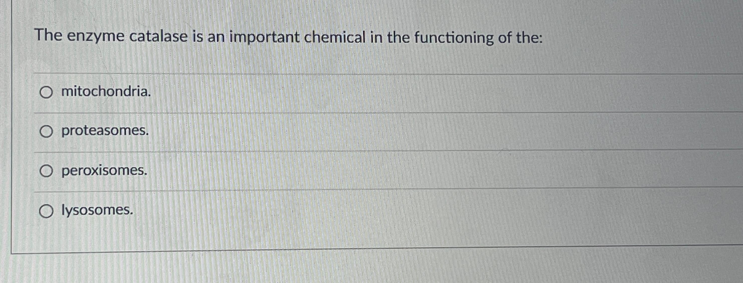 Solved The enzyme catalase is an important chemical in the | Chegg.com