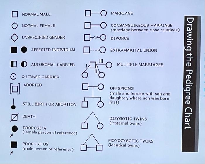 Solved Cystic Fibrosis Pedigree Normal RRTrait/Carrier-RrCF | Chegg.com