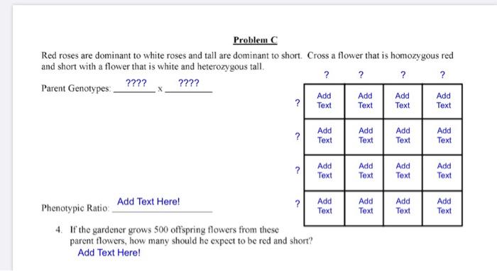 Problem C Red roses are dominant to white roses and | Chegg.com