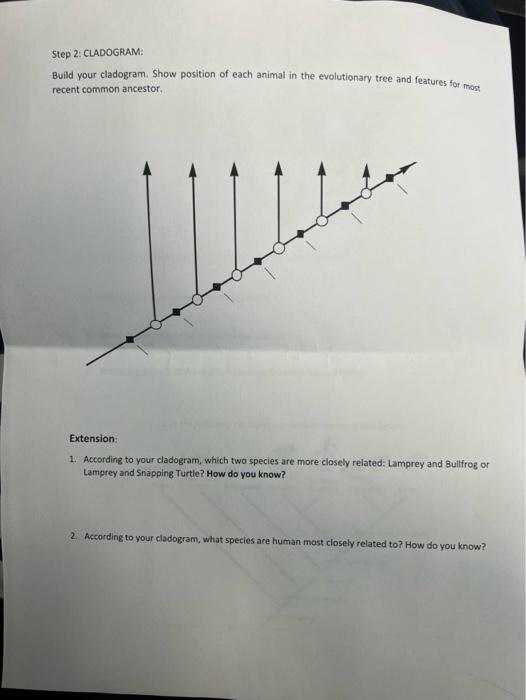 Step 2: CLADOGRAM: Build your cladogram. Show | Chegg.com