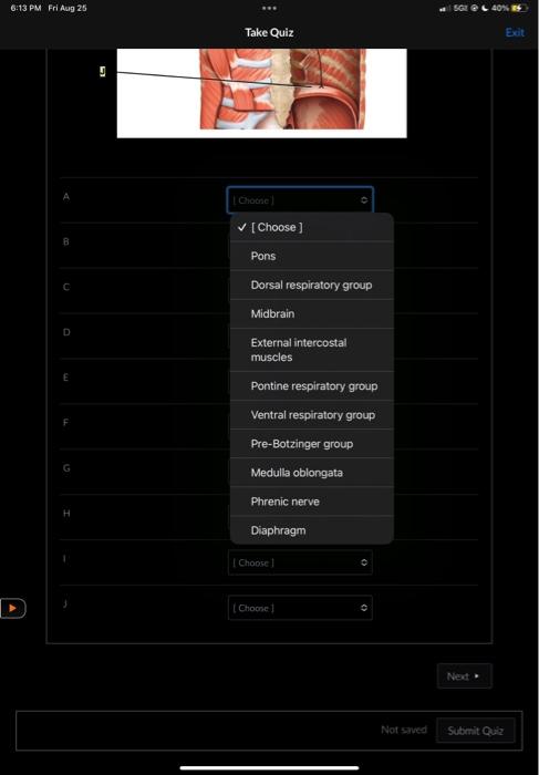 Solved can you please answer these questions for me | Chegg.com