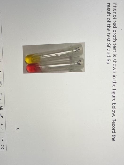 Solved Phenol red broth test is shown in the figure below. | Chegg.com