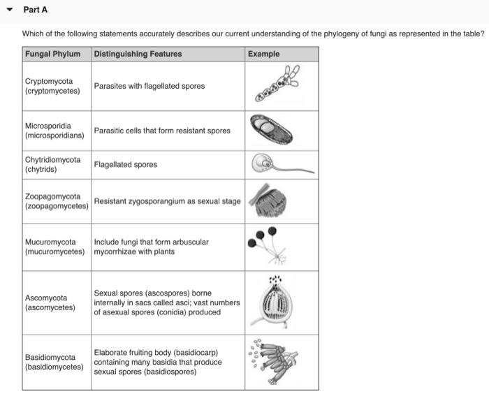 Solved Part A Which of the following statements accurately | Chegg.com