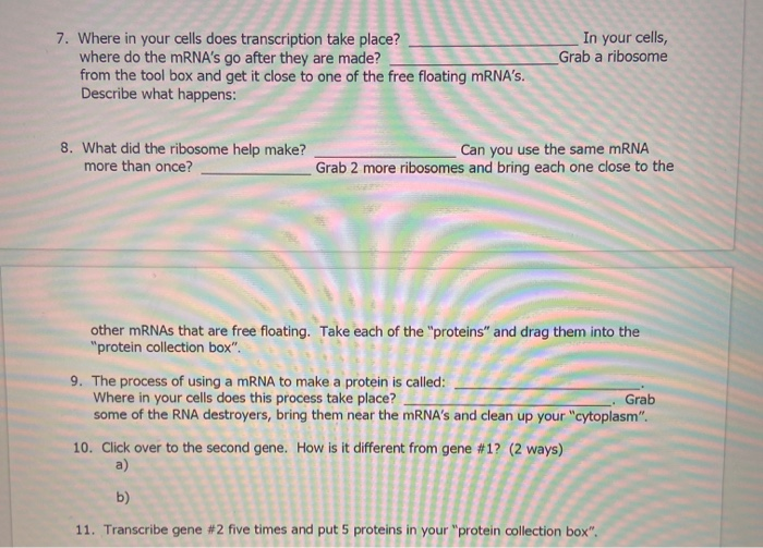 HAVE FUN EXPRESSING YOUR GENES!! Remember, a gene is | Chegg.com