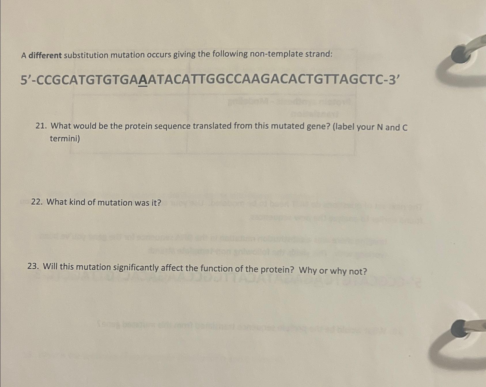 Solved A different substitution mutation occurs giving the | Chegg.com