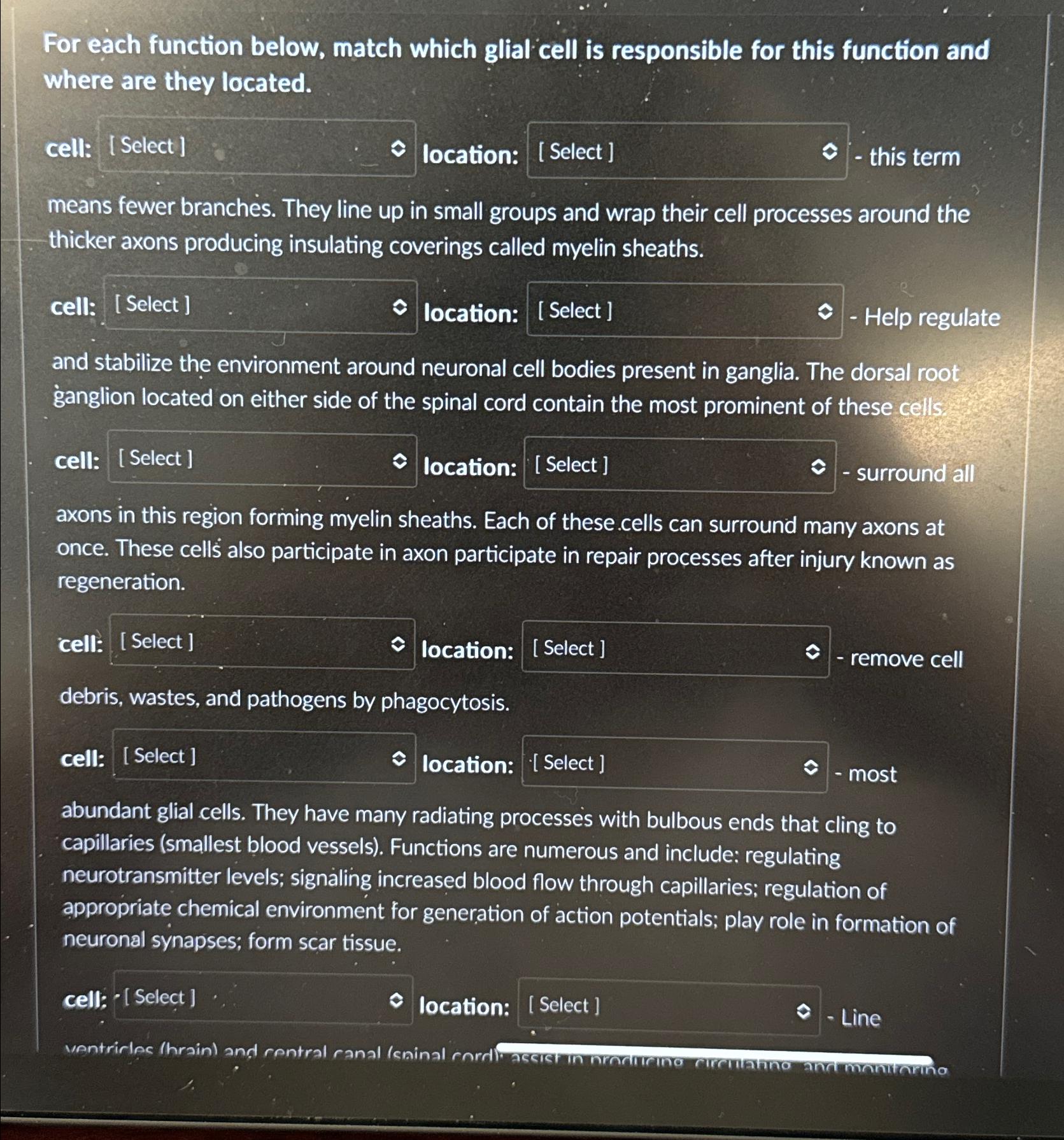Solved For each function below, match which glial cell is | Chegg.com