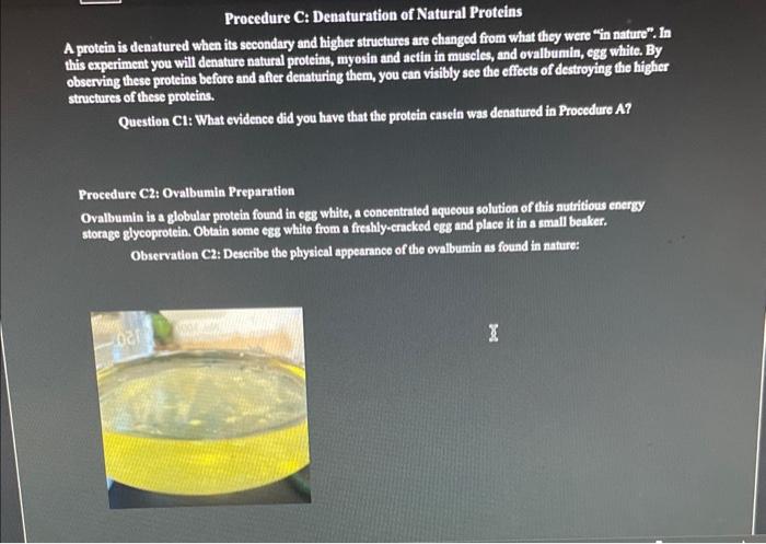 Solved Procedure C: Denaturation of Natural Proteins A | Chegg.com