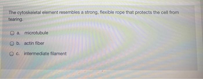 Solved The subunit of this cytoskeletal element exhibits | Chegg.com