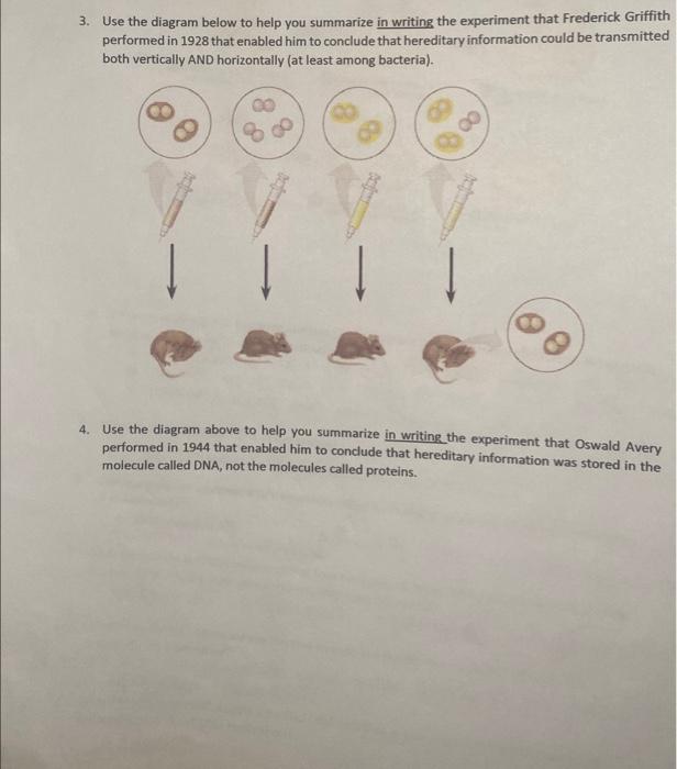 Solved 3. Use the diagram below to help you summarize in | Chegg.com