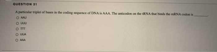 Solved QUESTION 31 A particular triplet of bases in the | Chegg.com