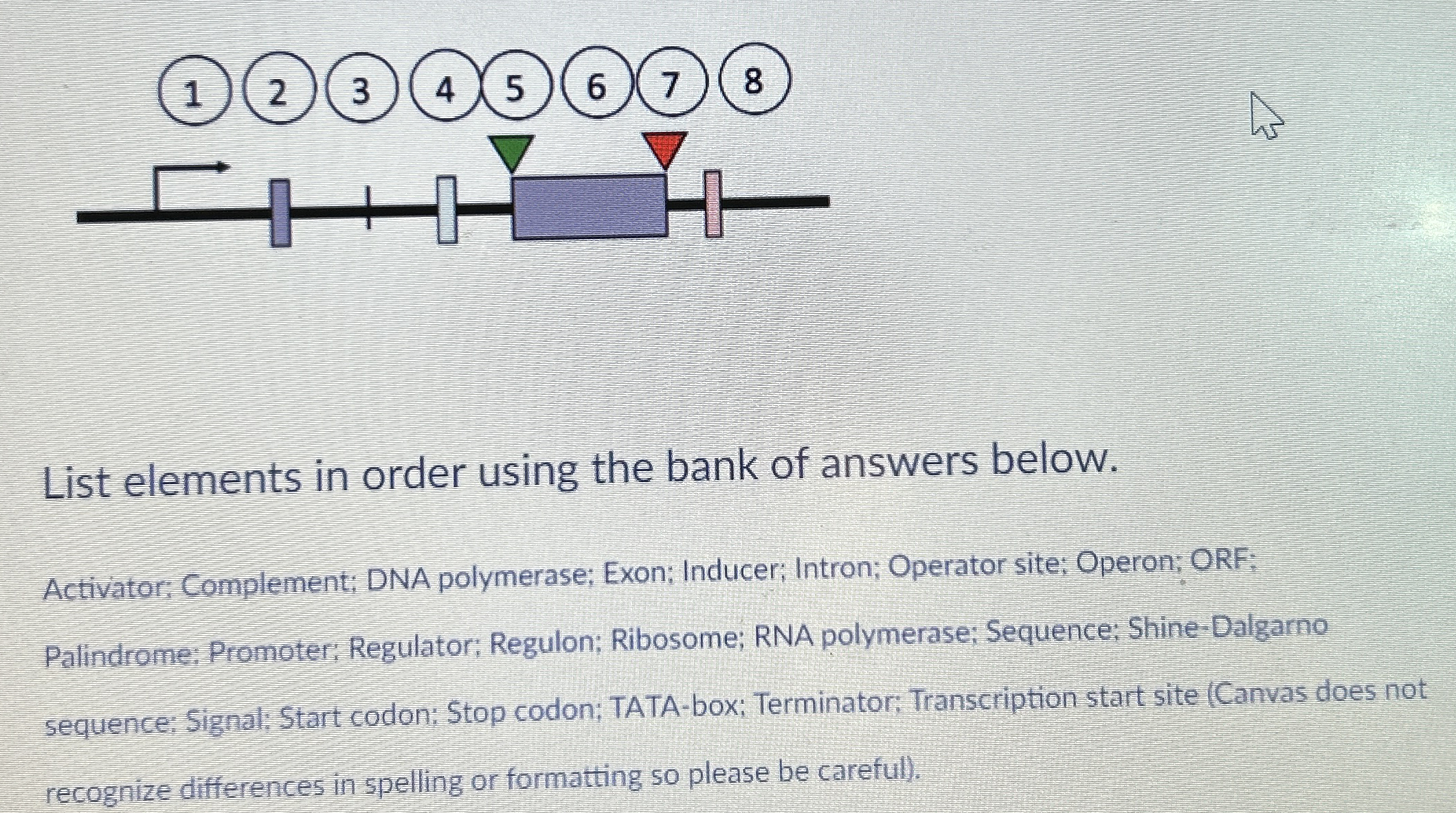 Solved List elements in order using the bank of answers | Chegg.com