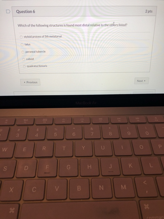 Solved Question 6 2 pts styloid process of 5th metatarsal | Chegg.com