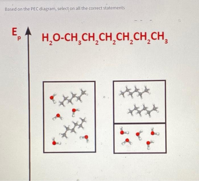 Solved Based on the PEC diagram, select on all the correct | Chegg.com