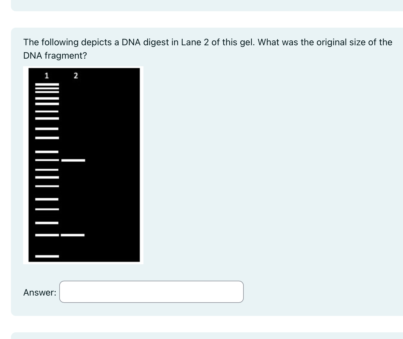 Solved The following depicts a DNA digest in Lane 2 ﻿of this | Chegg.com