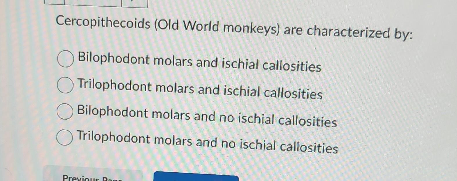 Cercopithecoids (Old World monkeys) are characterized | Chegg.com