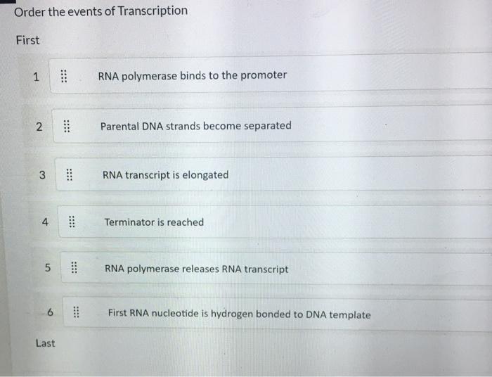 Solved Order the events of Transcription First 1 RNA | Chegg.com