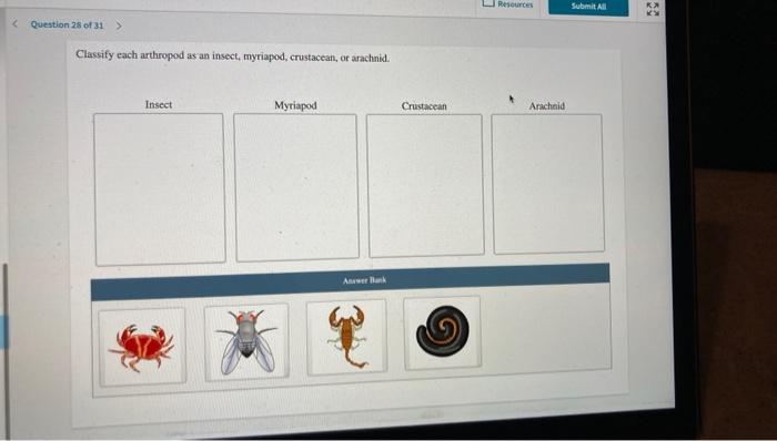 Solved Classify each arthropod as an insect, myriapod, | Chegg.com