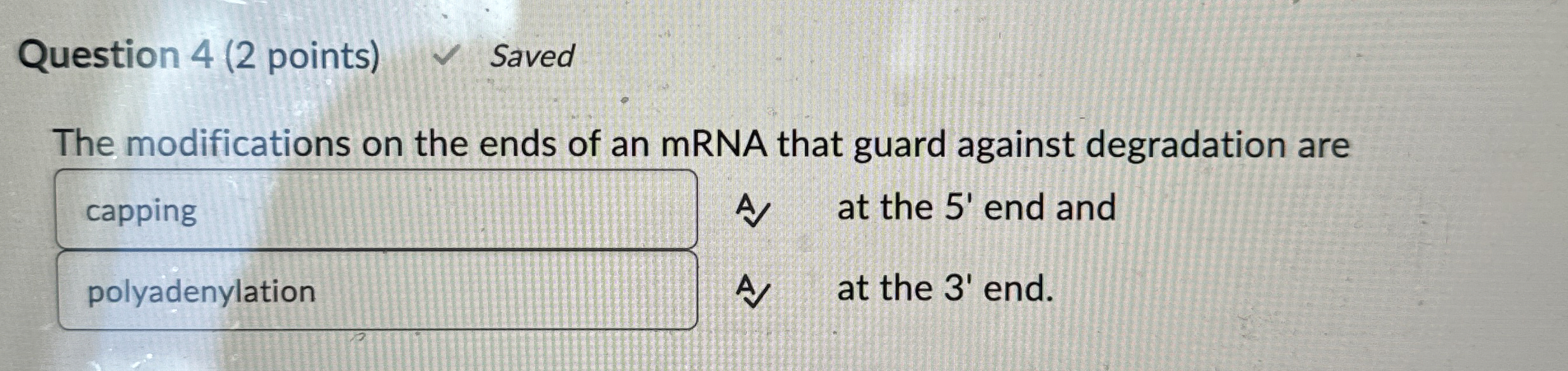 Solved Question 4 (2 ﻿points) ﻿SavedThe modifications on | Chegg.com