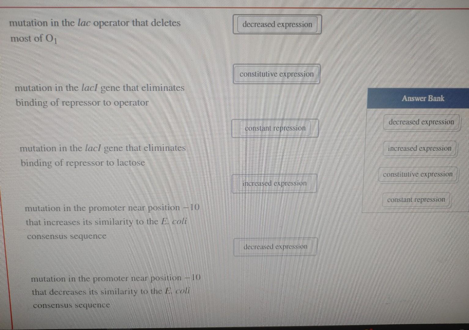 Solved Identify the possible effects of each mutation on | Chegg.com